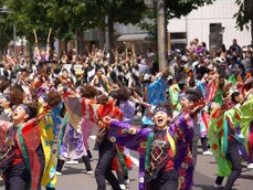 【PR】第32回YOSAKOIソーラン祭り：北海道新聞デジタル